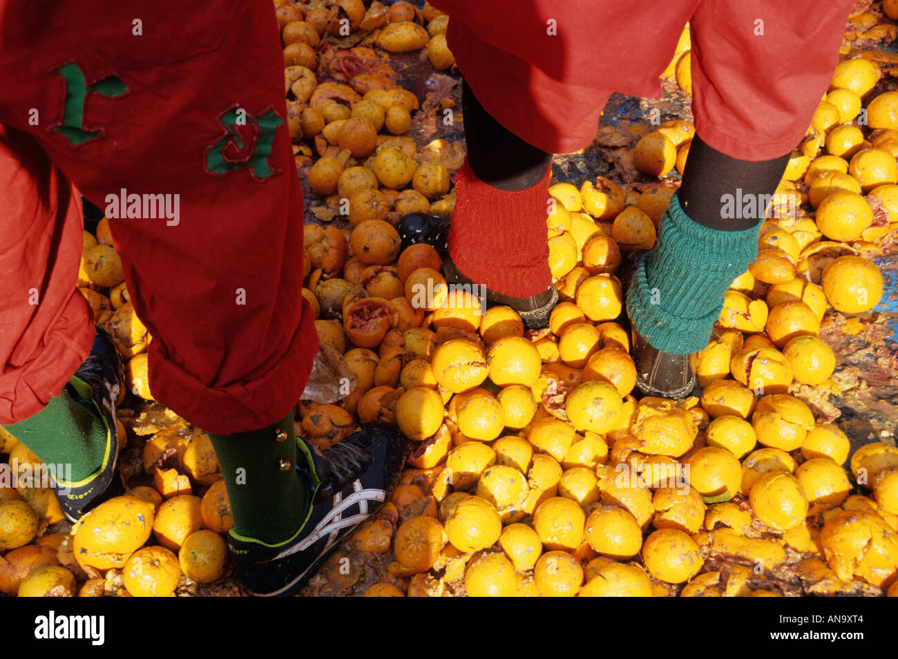 Orange battle at the carnival of Ivrea, Italy. Walking through squashed ...