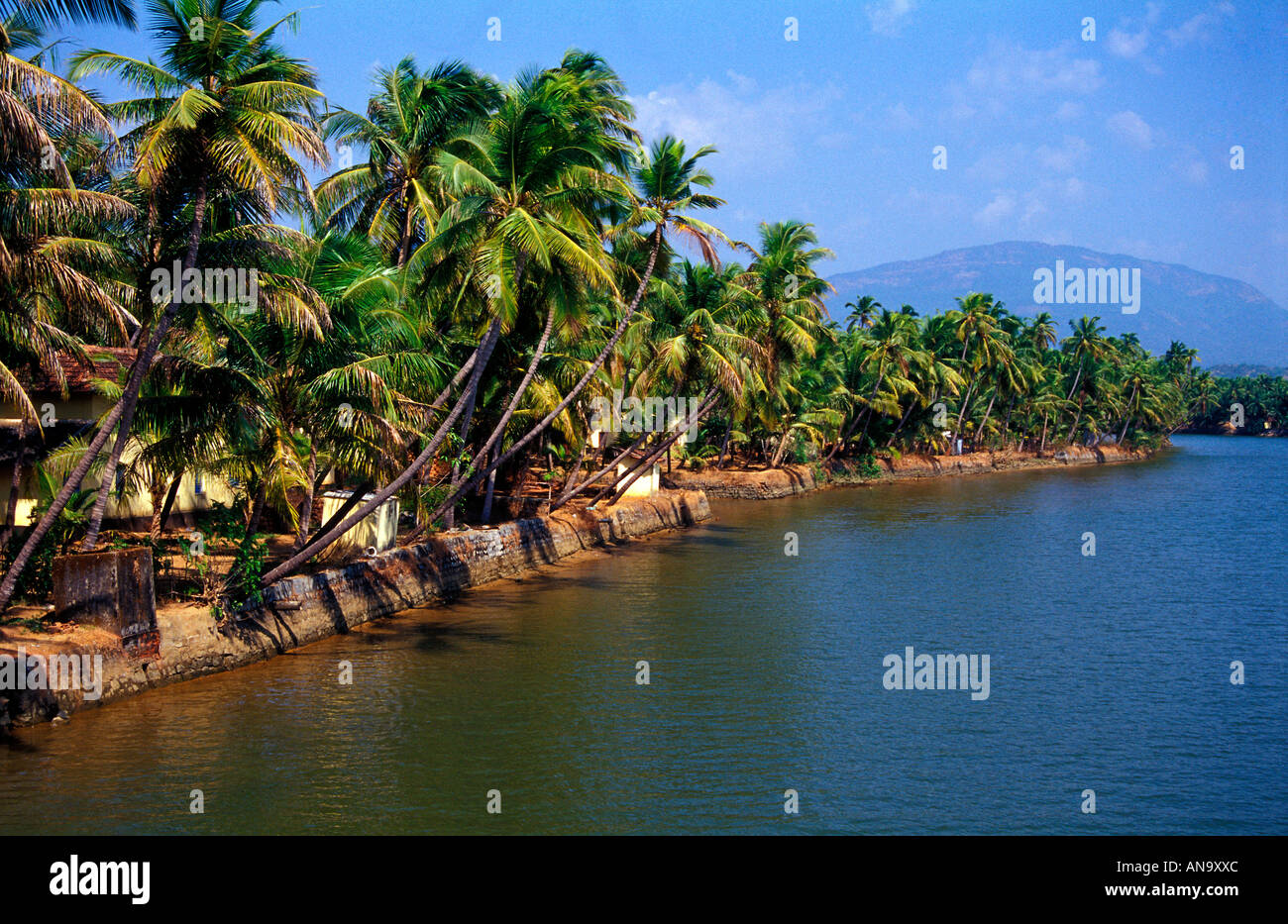 Coconut trees landscape backwaters hi-res stock photography and images ...