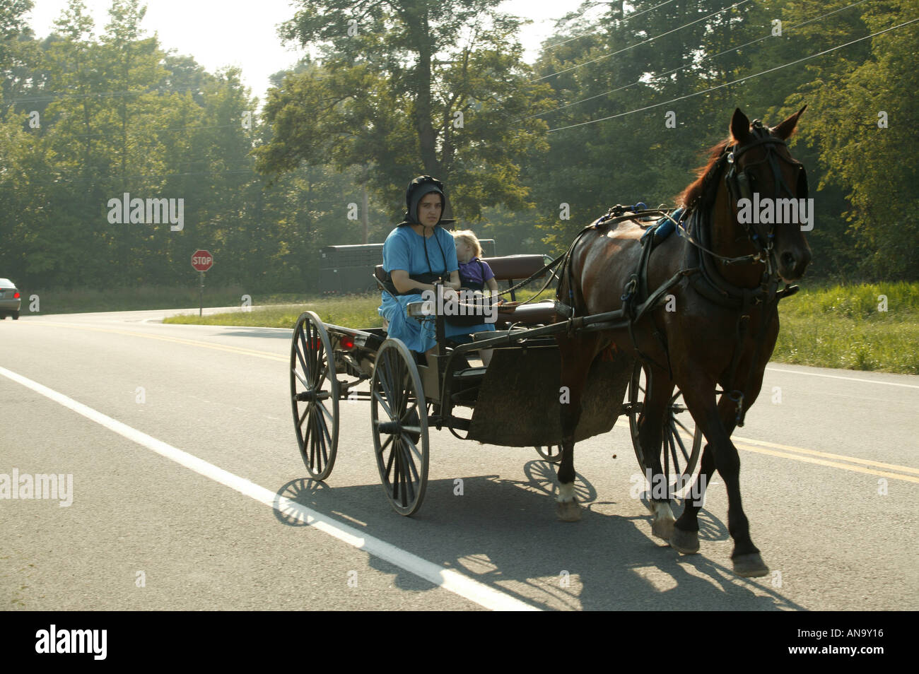 amish people travelling by horse and cart in maryland usa Stock Photo ...
