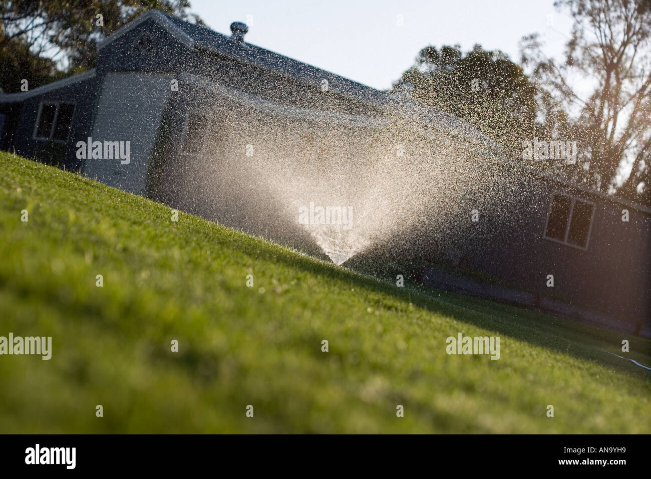 Sprinkler on green lawn, barn and sky in background. Shot low and at an ...
