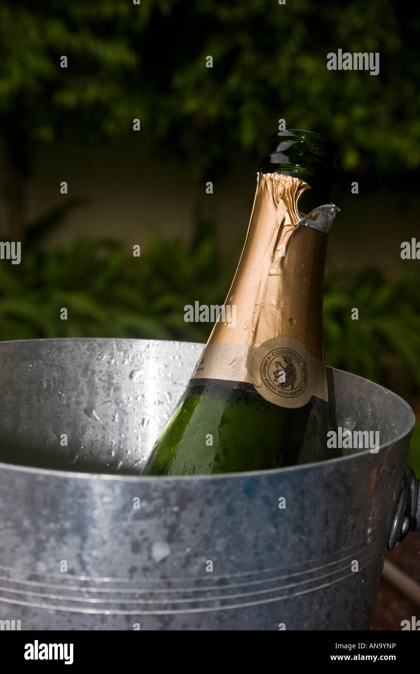 Cooling champagne hi-res stock photography and images - Alamy