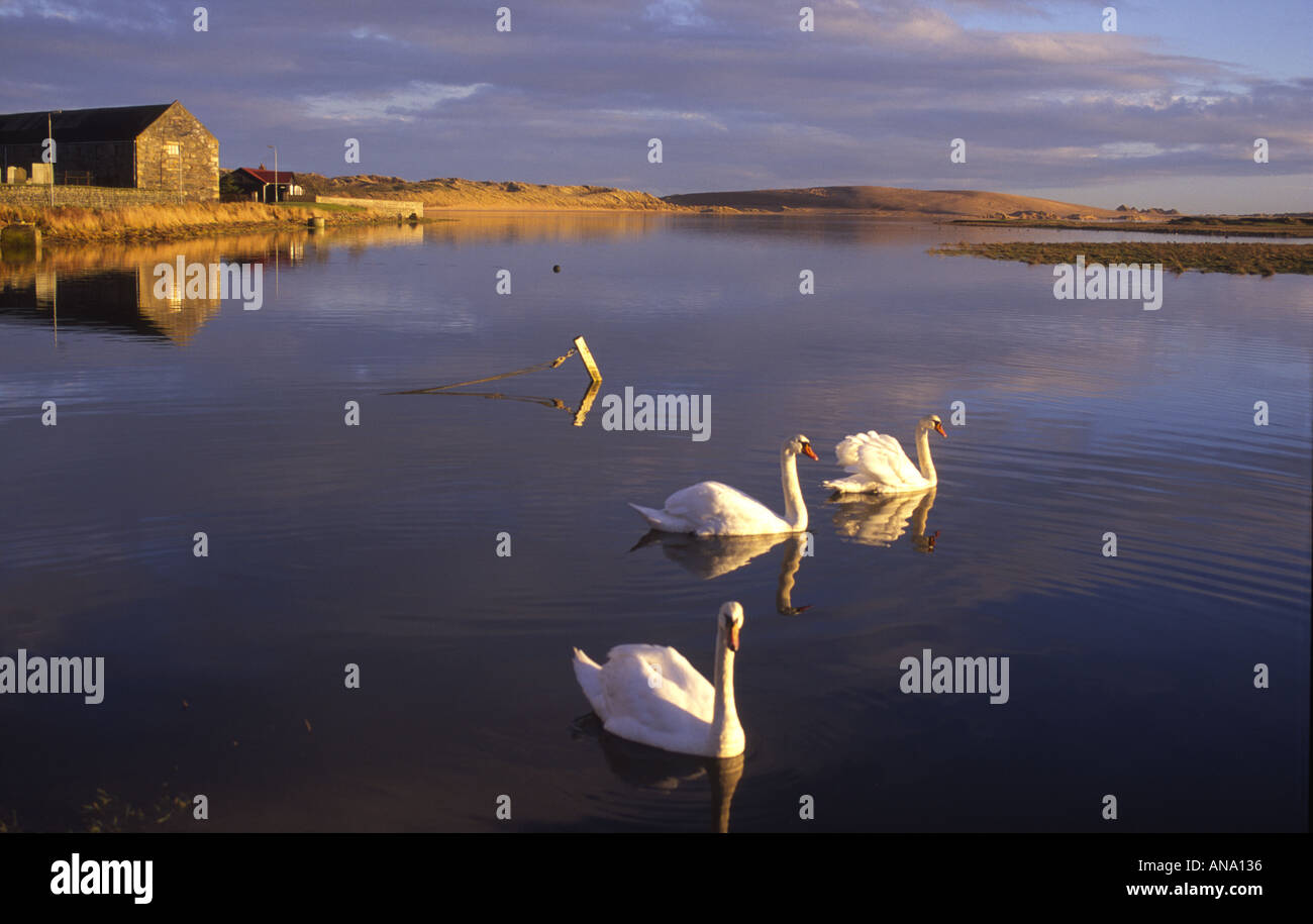 Knockhall Castle High Resolution Stock Photography and Images - Alamy
