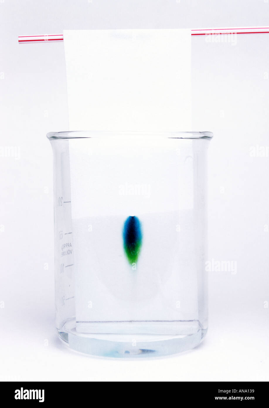 Chromatography hi-res stock photography and images - Alamy