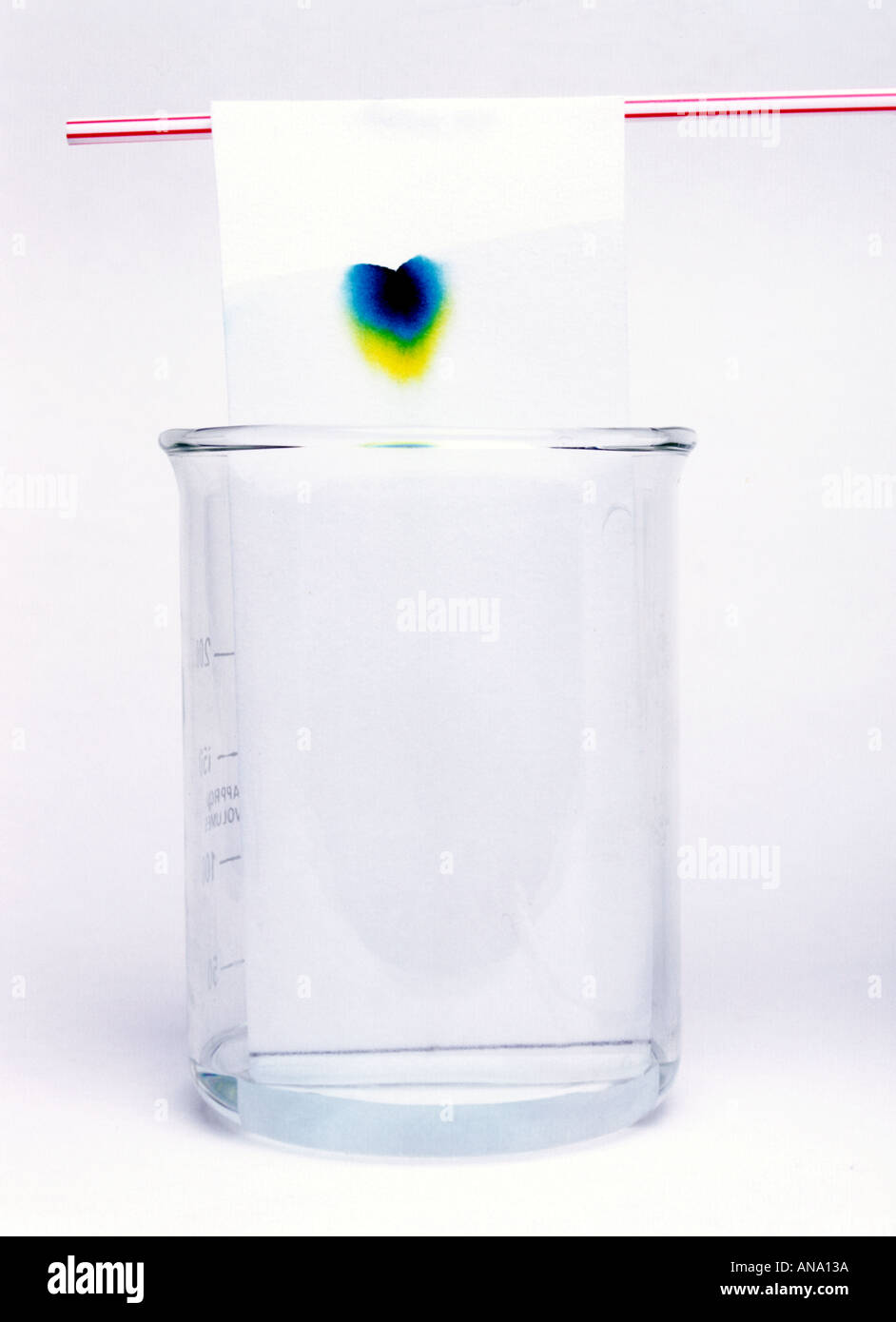 Ink From Felt Tip Is Three Quarters Of Way Through Separation In Stock Photo Alamy ink-from-felt-tip-is-three-quarters-of-way-through-separation-in-stock-photo-alamy