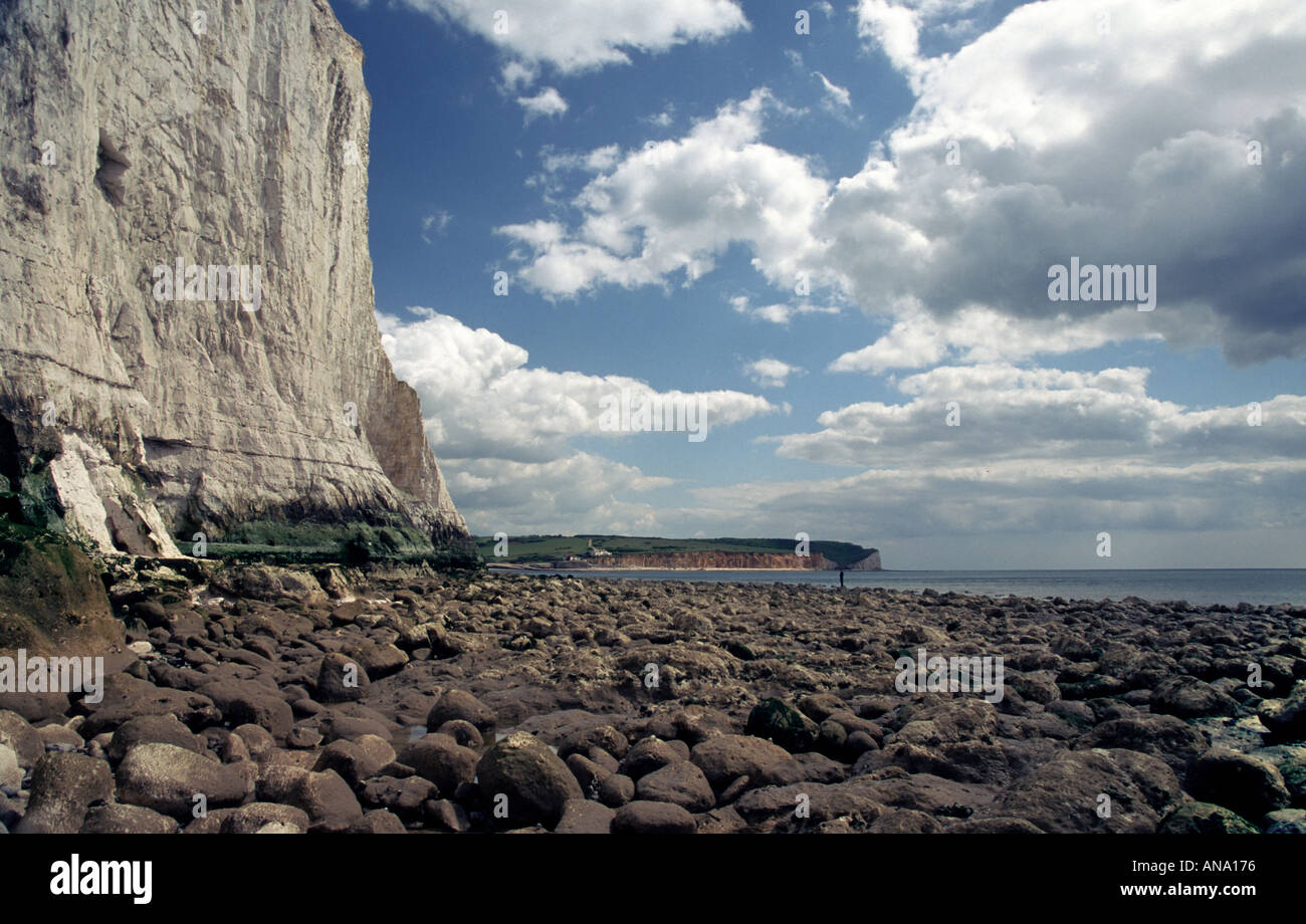 Seven Sisters cliff in southern England summer Stock Photo - Alamy