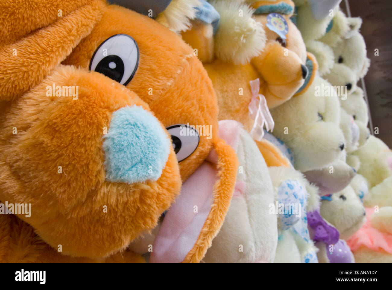 china chengdu lotus market. teddy bear doggys Stock Photo - Alamy
