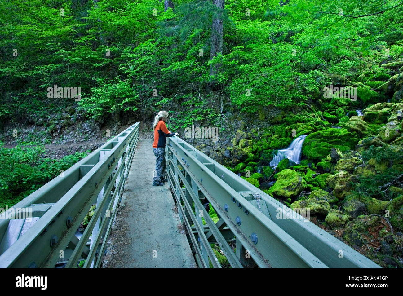Hiker at wilderness waterfall crossing Stock Photo - Alamy