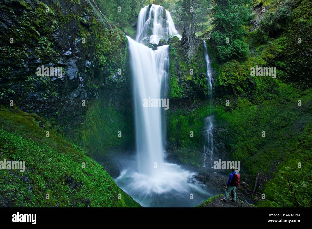 Hiker at wilderness waterfall Stock Photo - Alamy