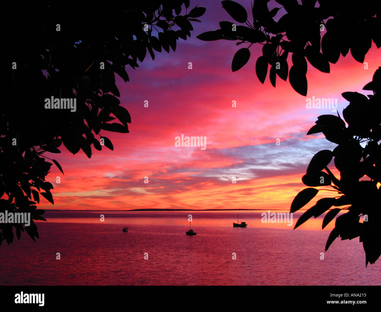 Boston bay australia hi-res stock photography and images - Alamy