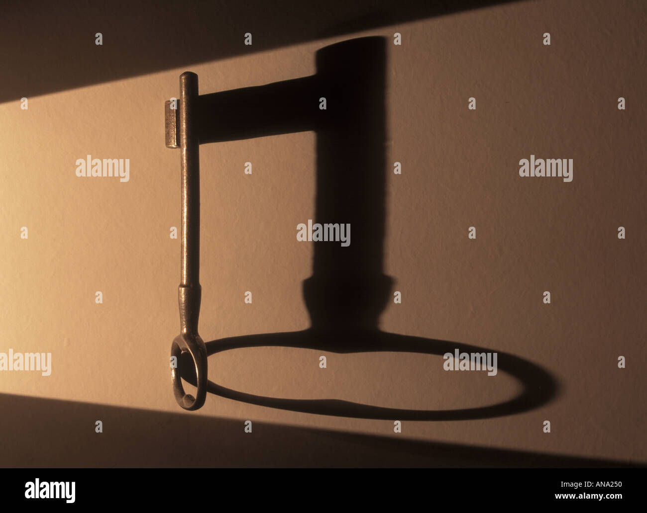 Rectilinear propagation hi-res stock photography and images - Alamy