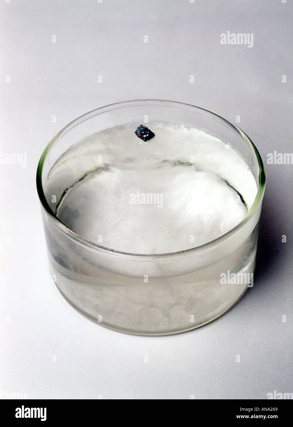 Francium In Water Reaction