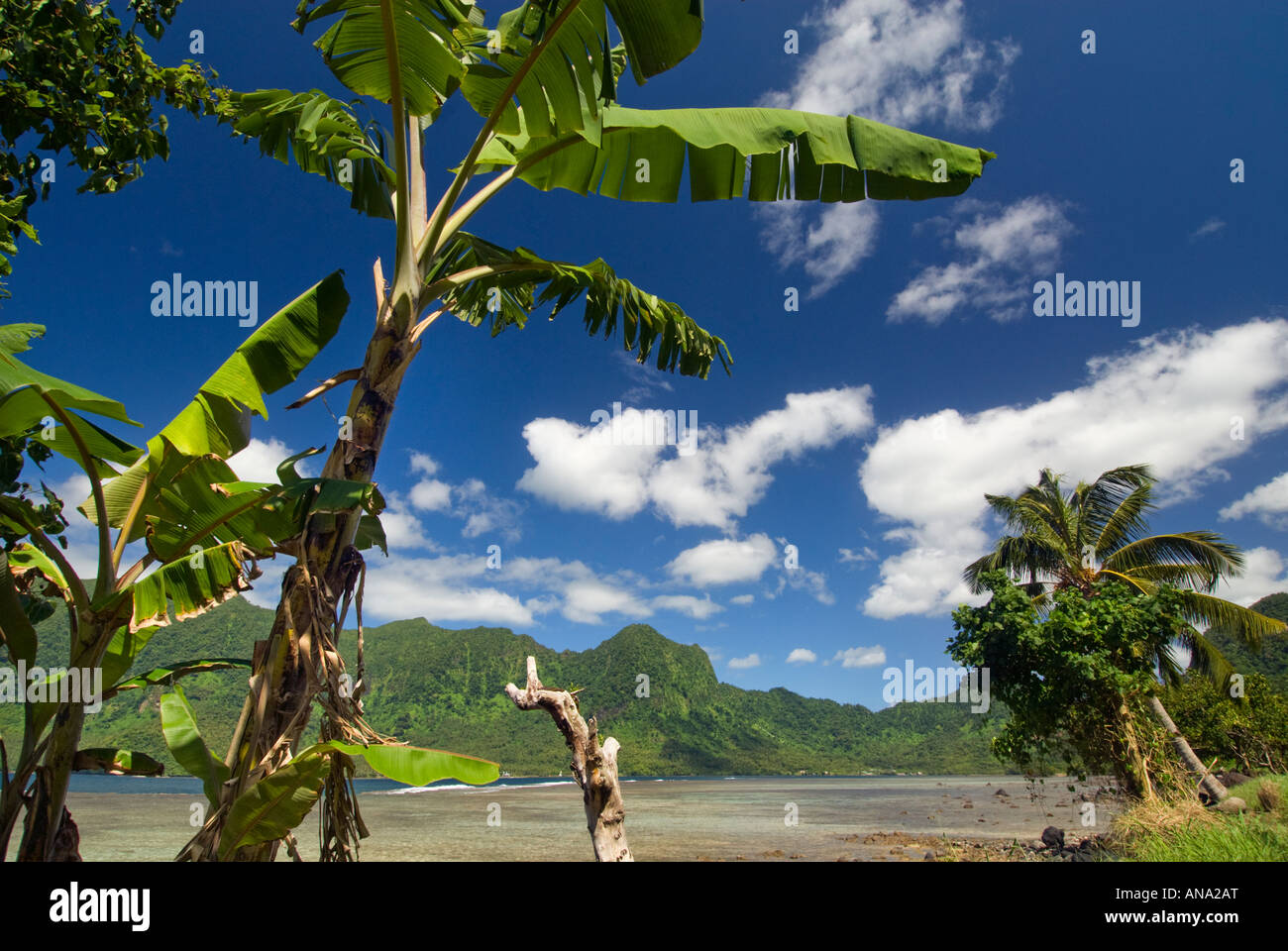 Uafato conservation area hi-res stock photography and images - Alamy