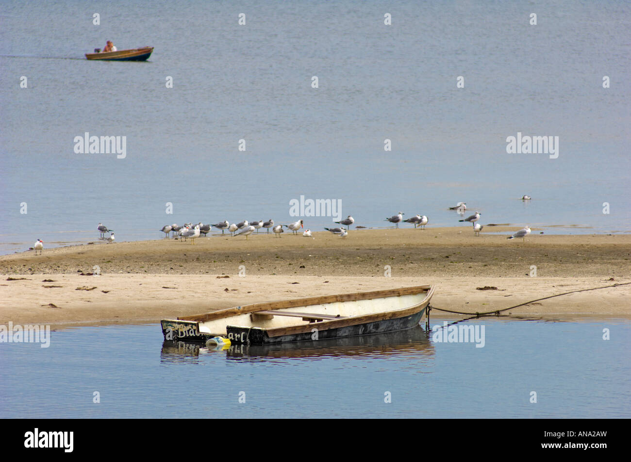 rowboat small boat abandoned sunk founder boating IRL Indian River ...