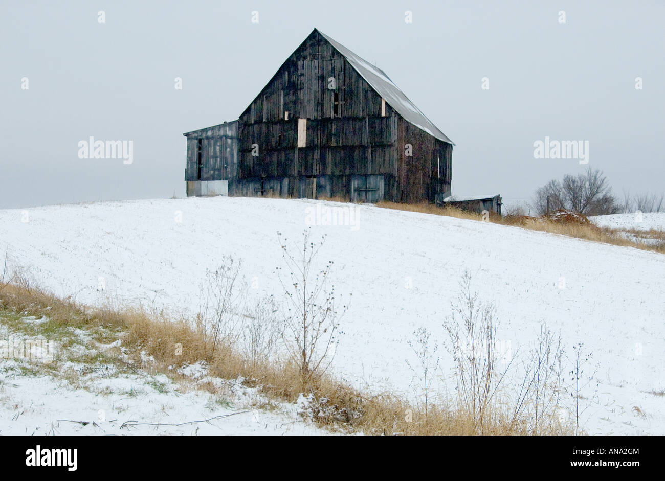 An unpainted barn in a snowstorm outside Westin MO Stock Photo - Alamy