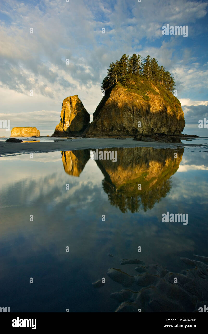 Second Beach Olympic national park Stock Photo - Alamy