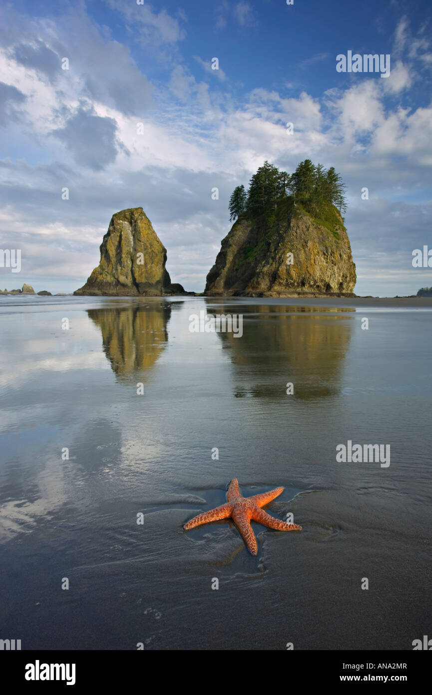 Second beach hi-res stock photography and images - Alamy