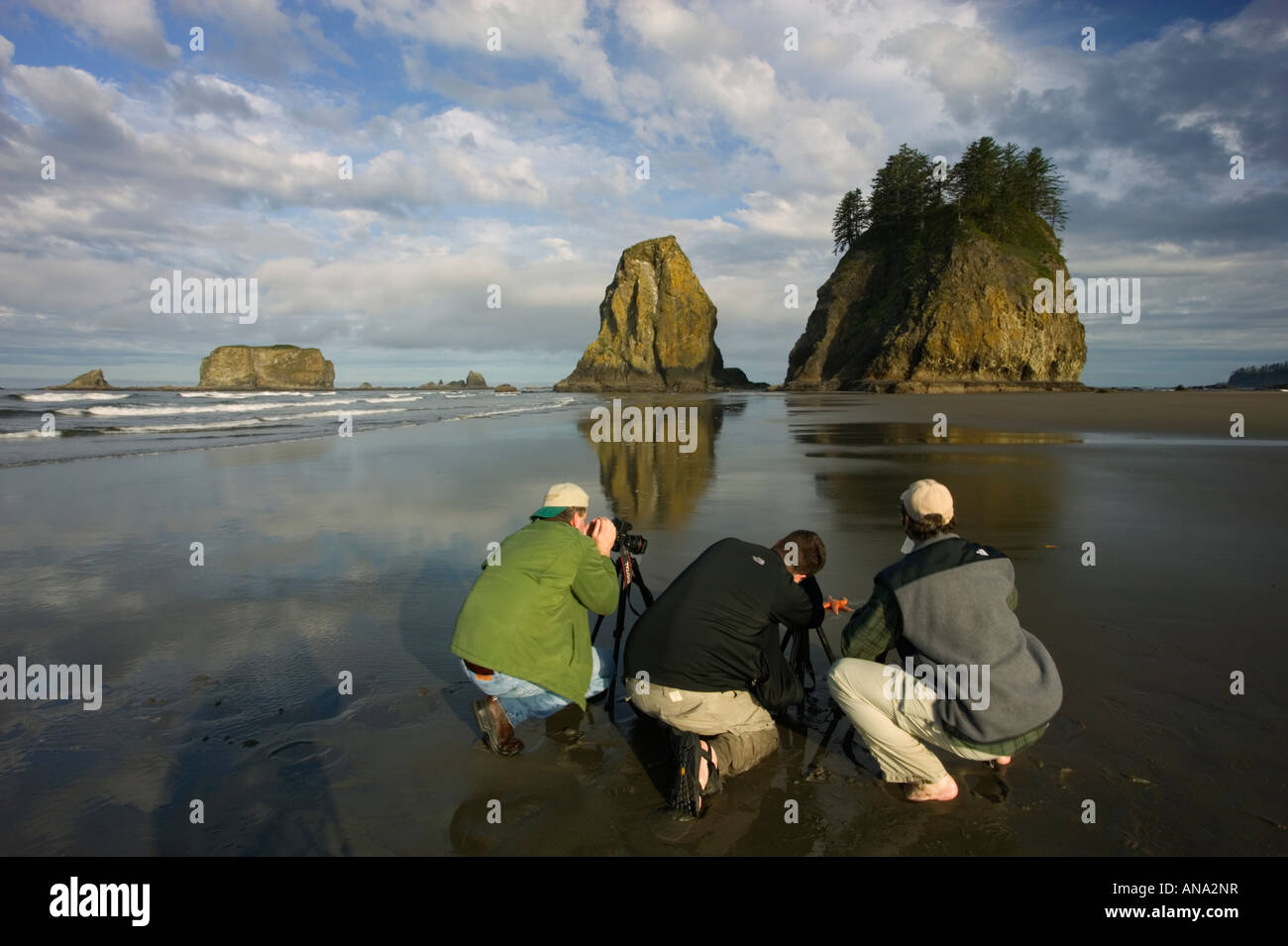 Second Beach Olympic national park Stock Photo - Alamy
