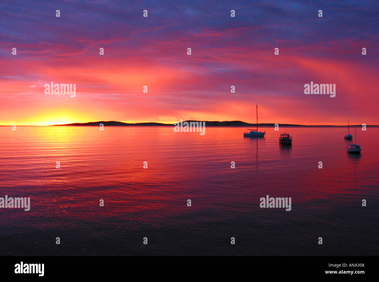Boston bay australia hi-res stock photography and images - Alamy