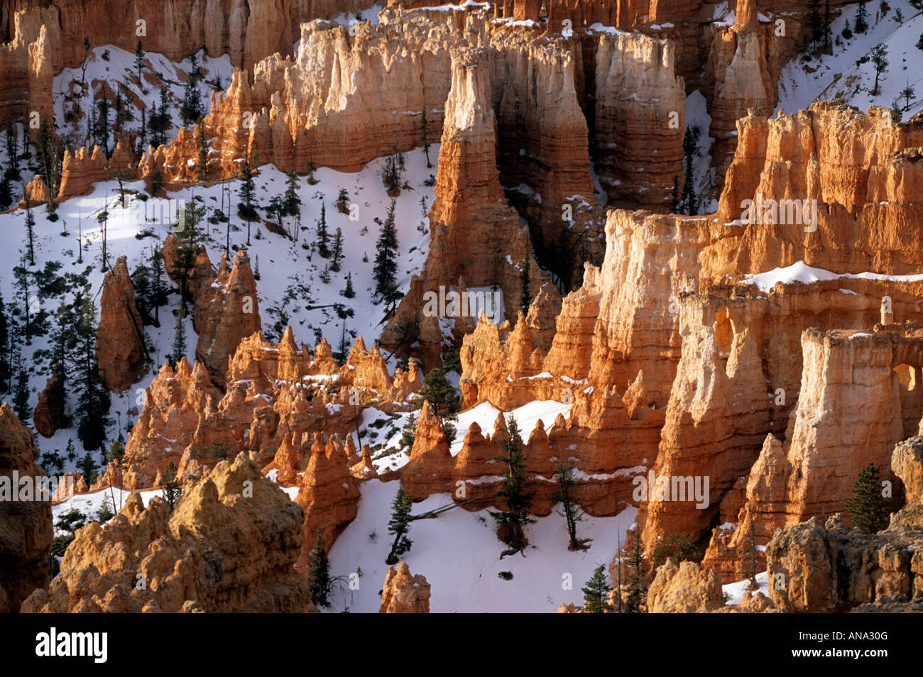 Bryce Amphitheater Bryce Canyon National Park Utah USA Stock Photo - Alamy