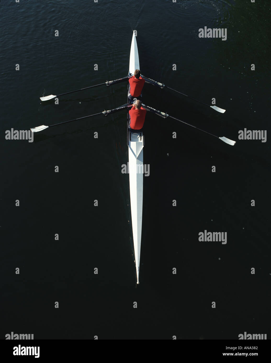 teamwork at speed rowing on the river thames Stock Photo - Alamy