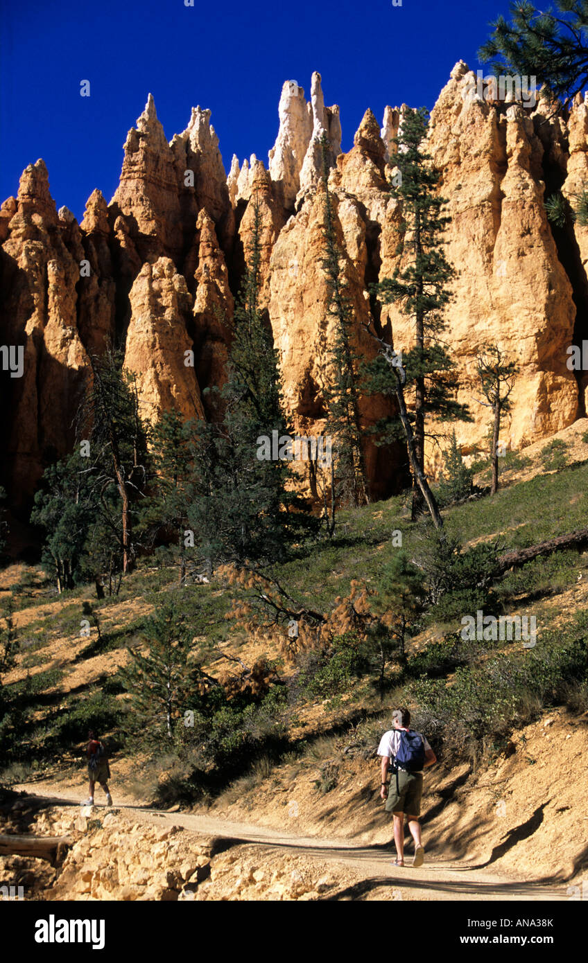 Bryce Amphitheater Bryce Canyon National Park Utah USA Stock Photo - Alamy