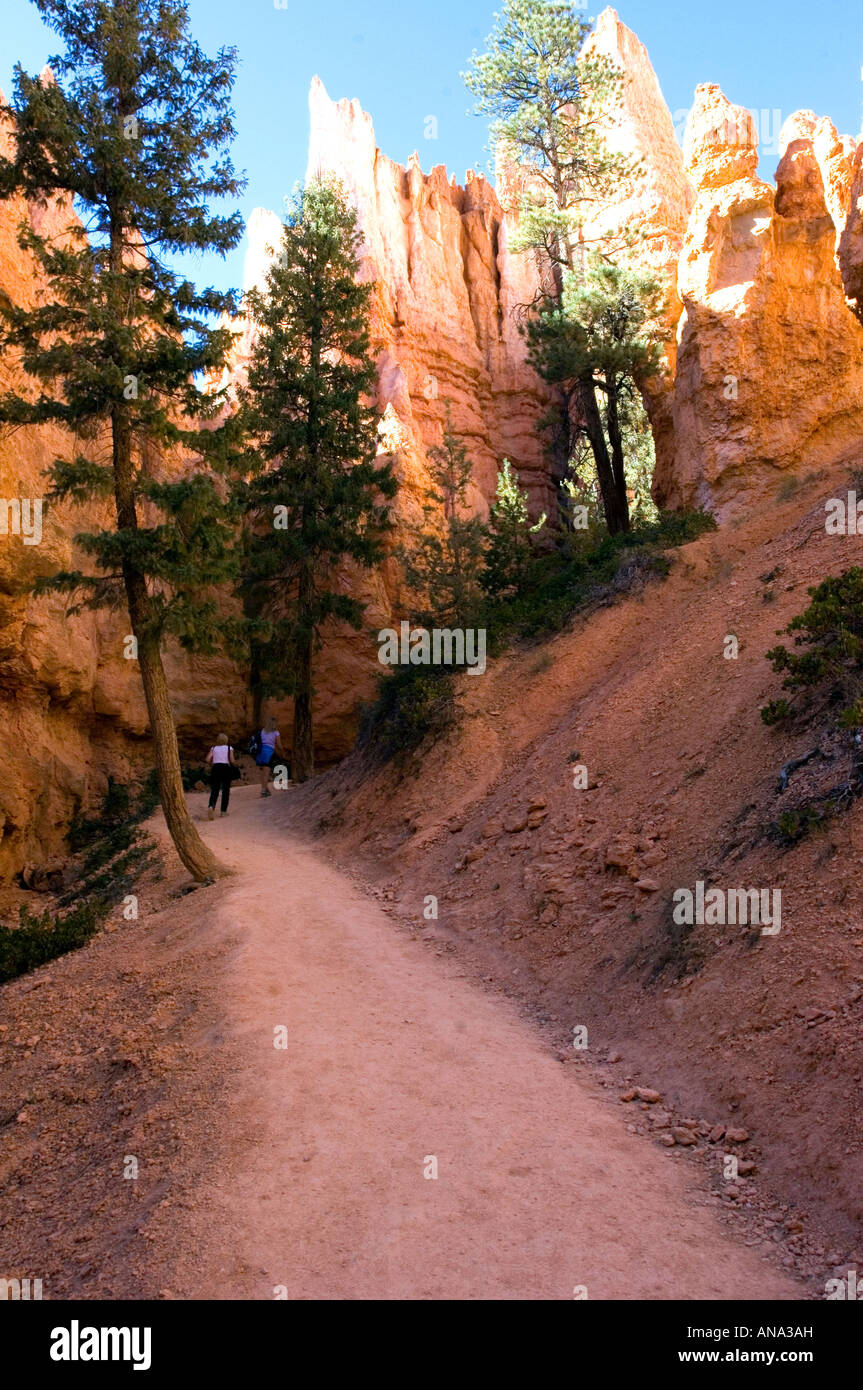 Hikers in Bryce Amphitheater Bryce Canyon National Park Utah USA Stock ...
