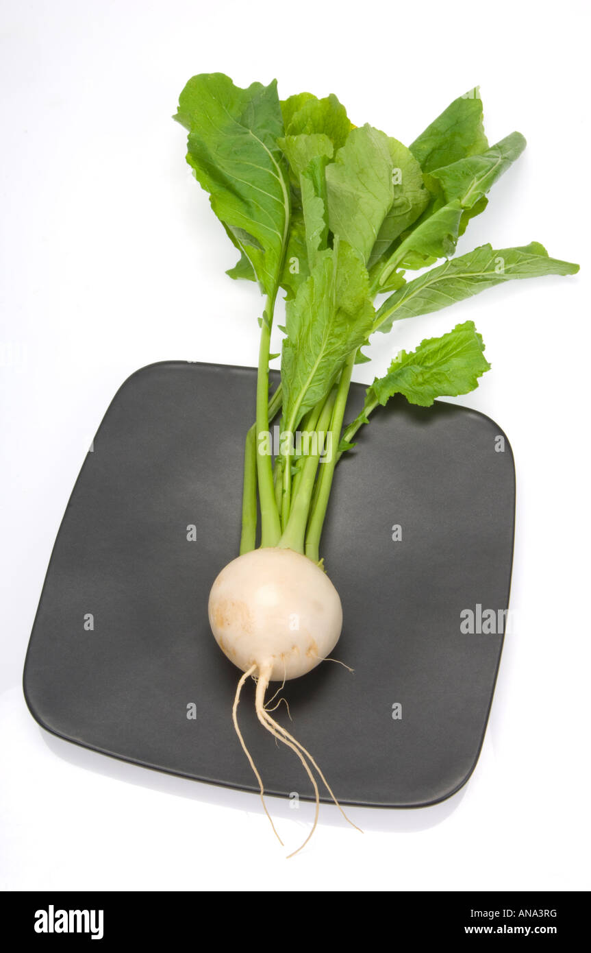 Japanese daikon radishes hi-res stock photography and images - Alamy