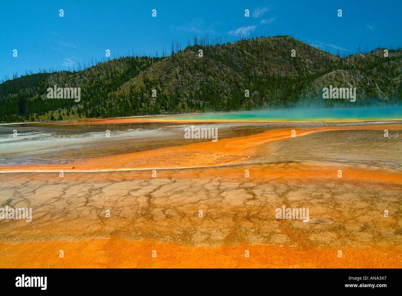 The Beautiful Colours of Grand Prismatic Spring Midway Geyser Basin ...