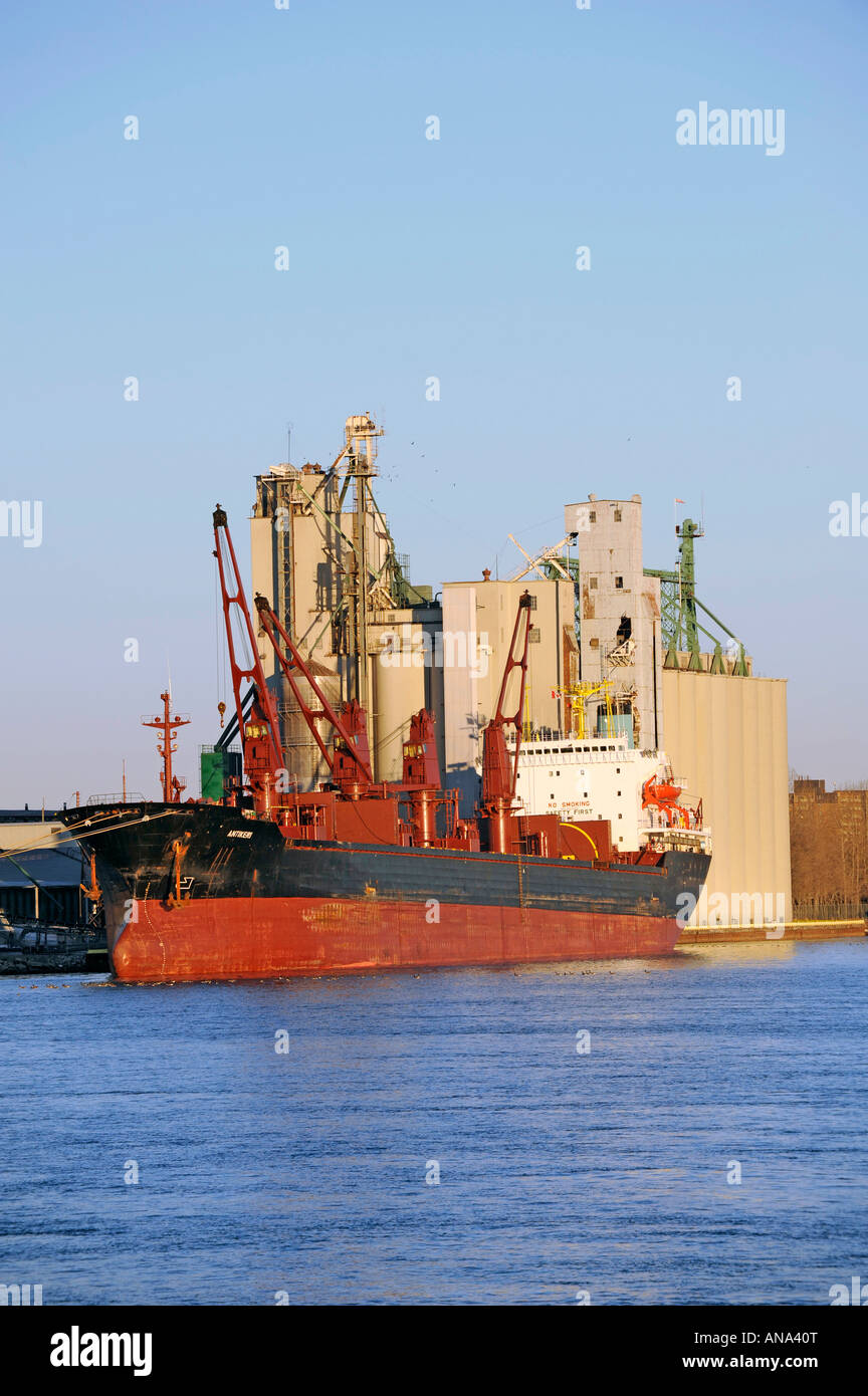 Ocean going ship loading agriculture grain for worldwide shipment Stock ...