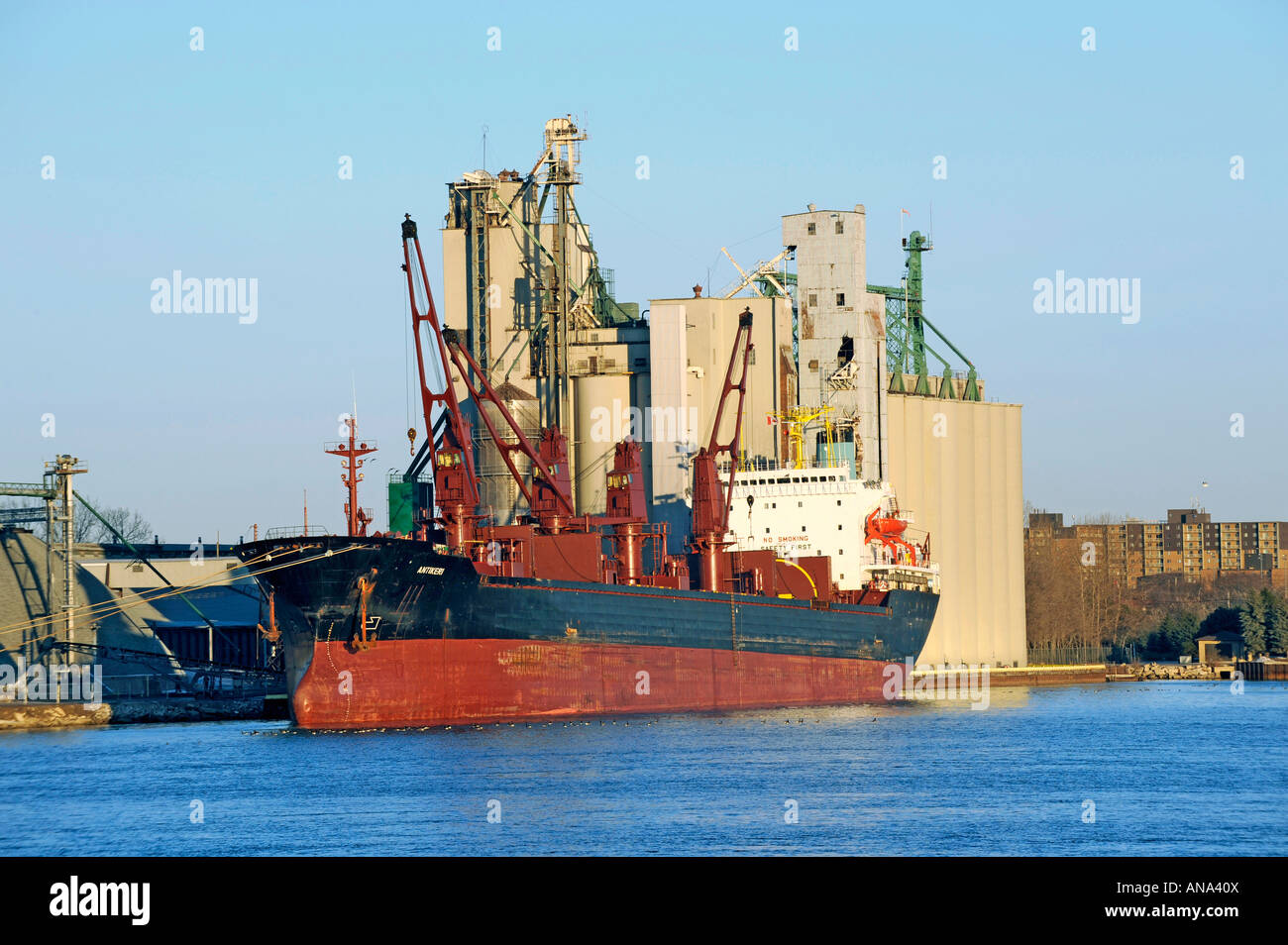 Ocean going ship loading agriculture grain for worldwide shipment Stock ...