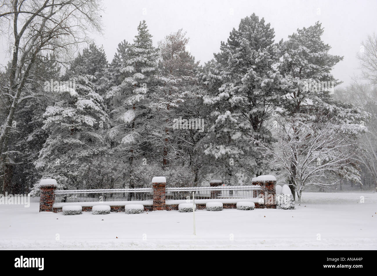 Detroit suburbs hi-res stock photography and images - Alamy