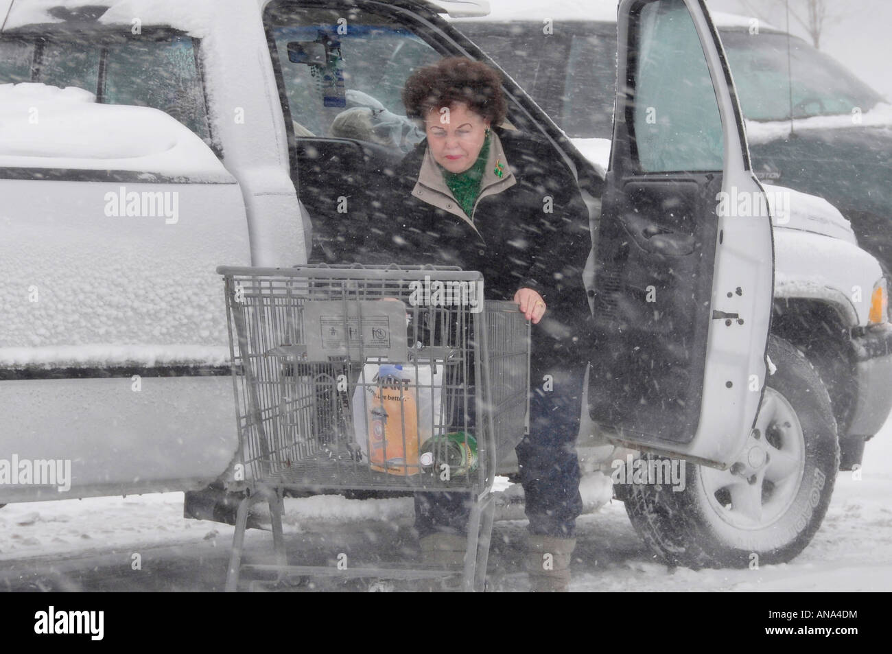 Grocery shopping during a winter snow storm during the Winter season in ...