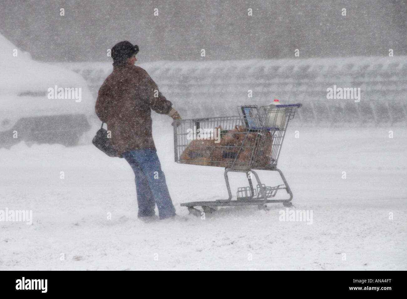 Grocery shopping during a winter snow storm during the Winter season in ...