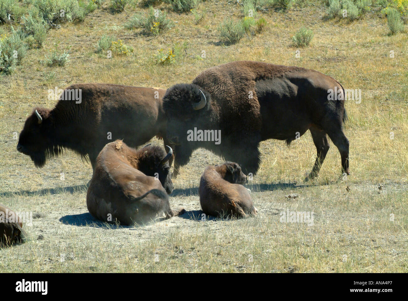 113 national hi-res stock photography and images - Alamy