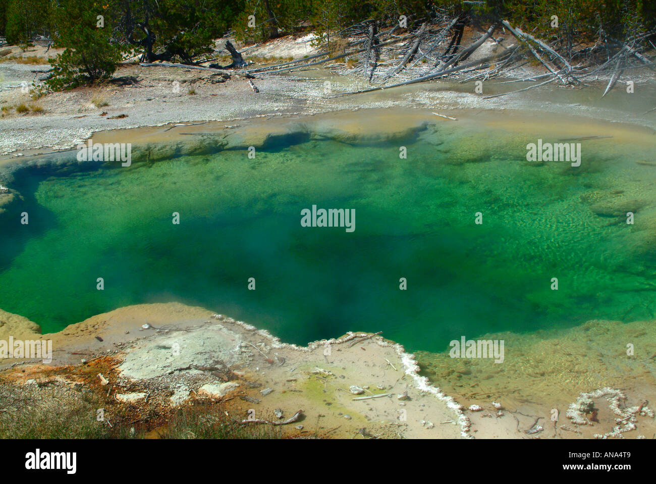 Emerald Spring in Norris Geyser Basin at Yellowstone National Park ...