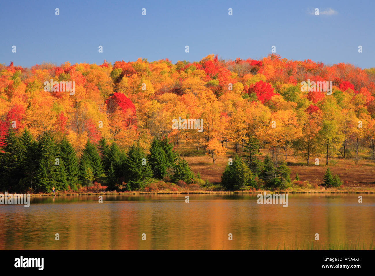 Fishing on Spruce Knob Lake, Spruce Knob, Judy Gap, West Virginia, USA ...