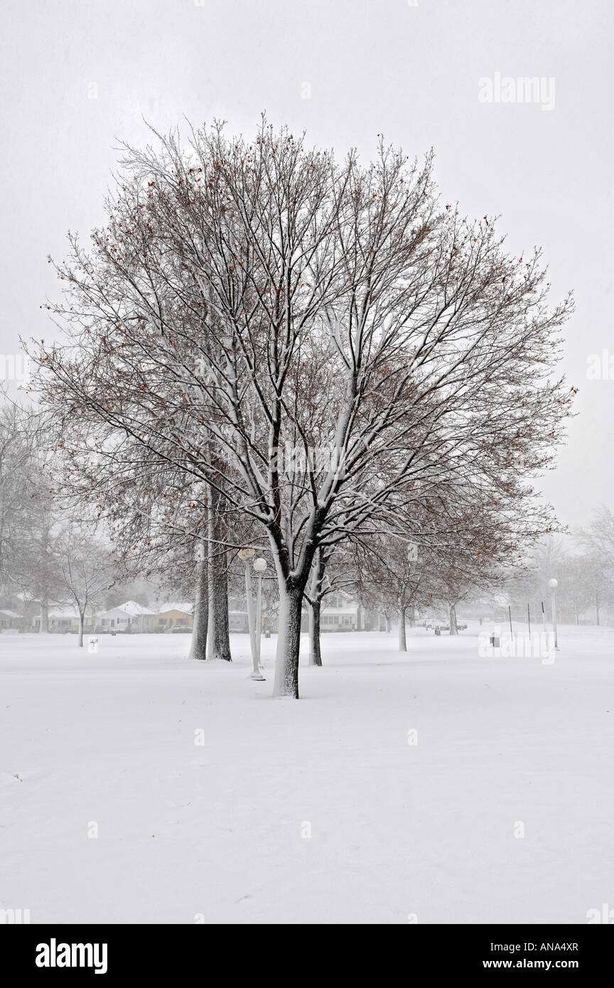 Michigan Winter Scene Stock Photo - Alamy