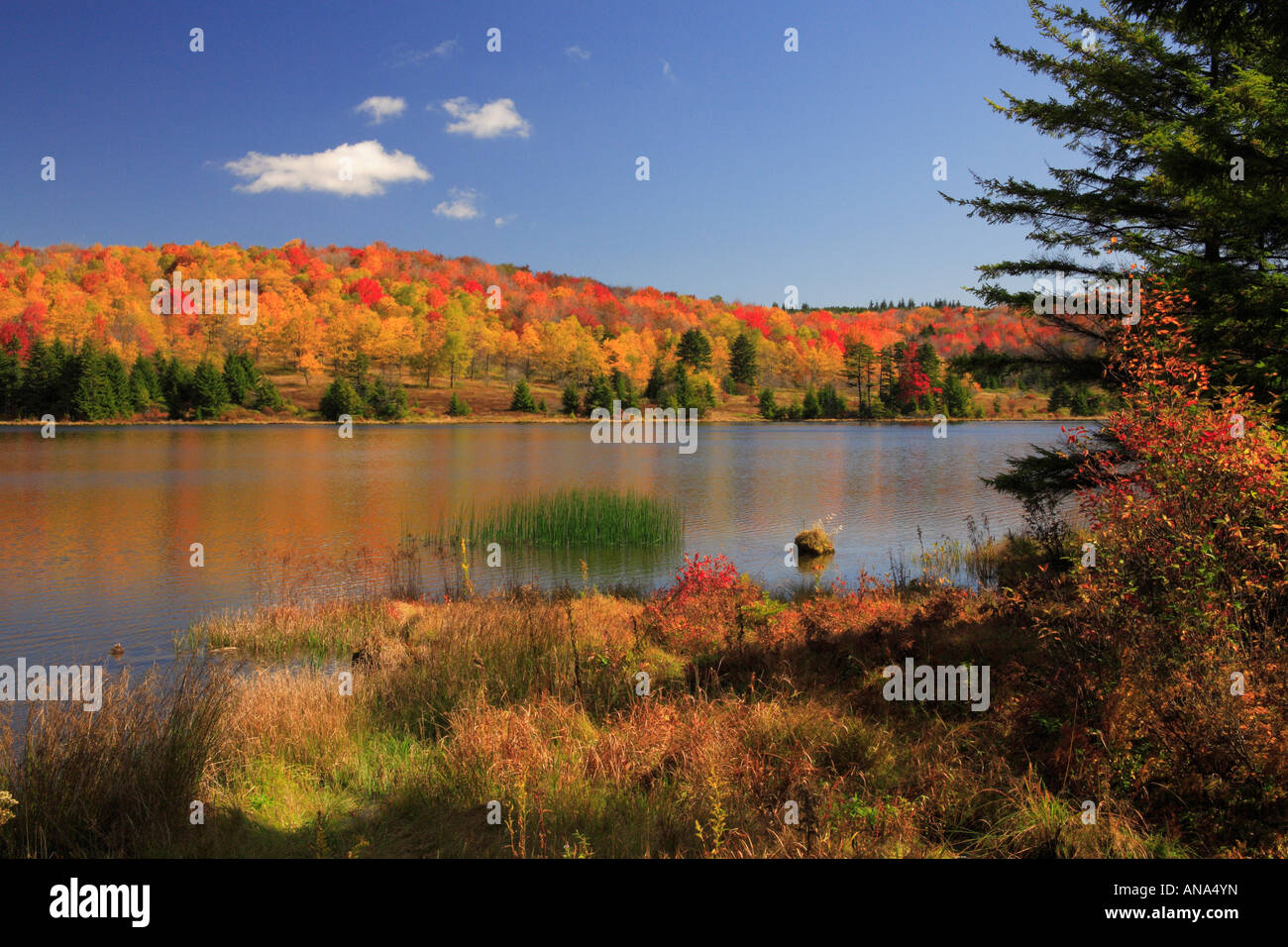 Spruce Knob Lake, Spruce Knob, Judy Gap, West Virginia, USA Stock Photo ...