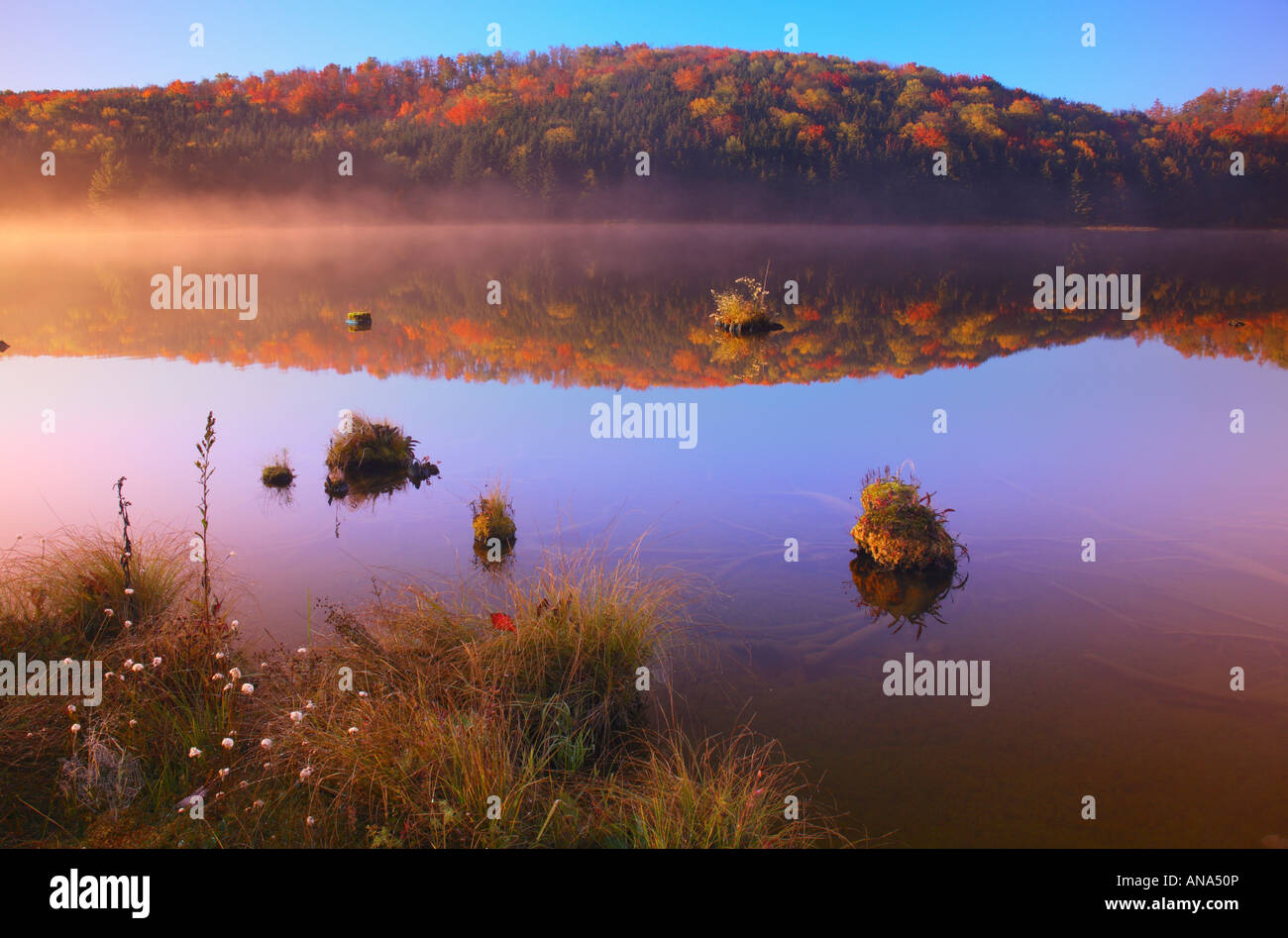 Sunrise on Spruce Knob Lake, Spruce Knob, Judy Gap, West Virginia, USA ...