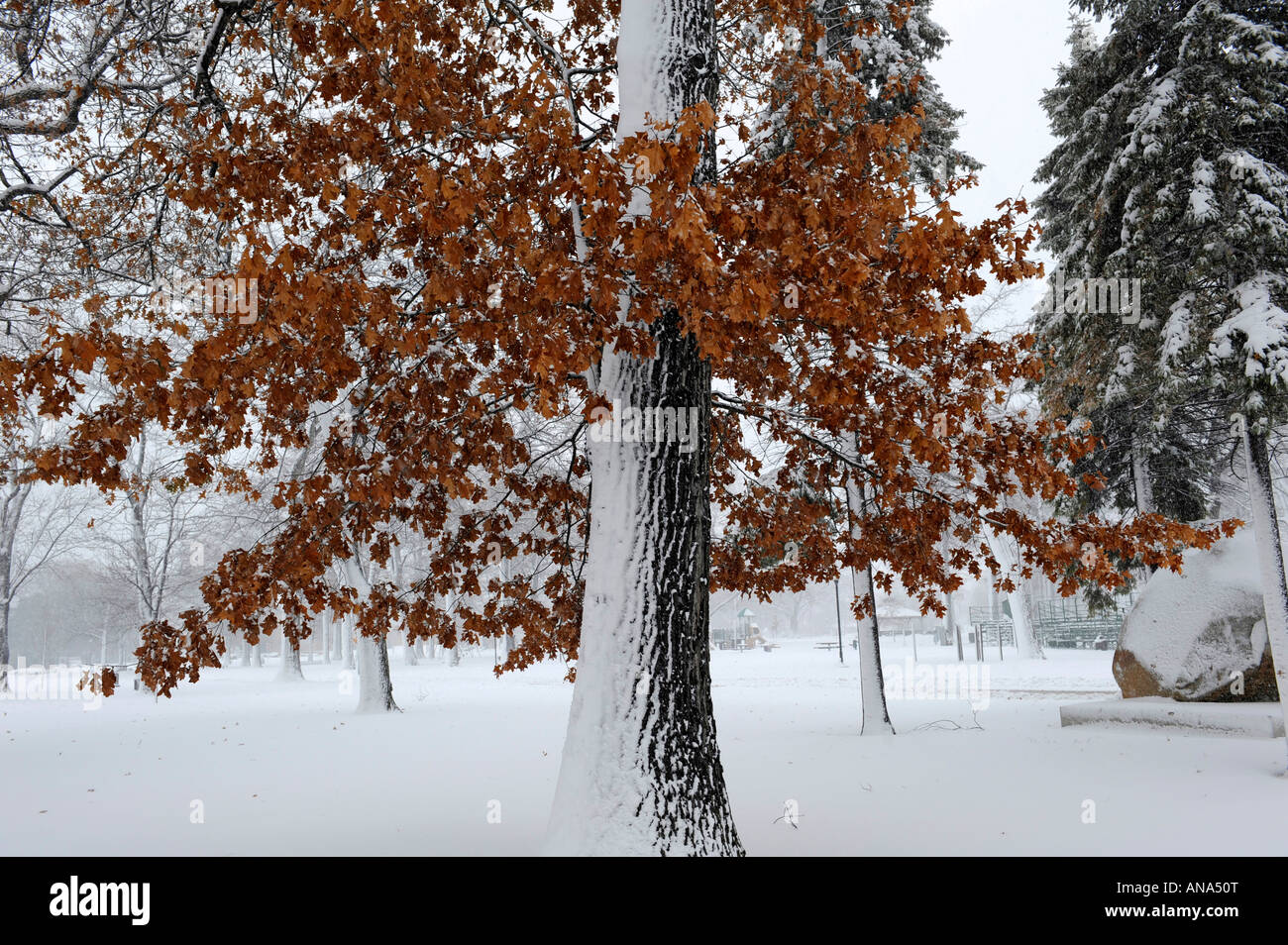 Michigan Winter Scene Stock Photo - Alamy