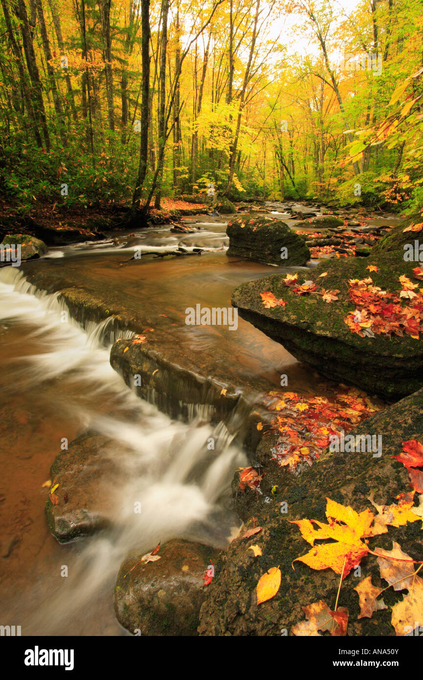 Richwood hi-res stock photography and images - Alamy