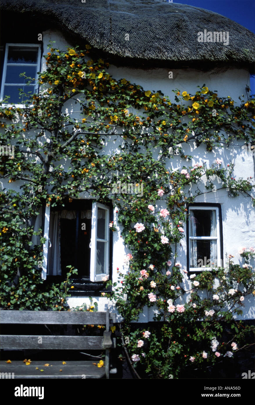 Chillington hi-res stock photography and images - Alamy