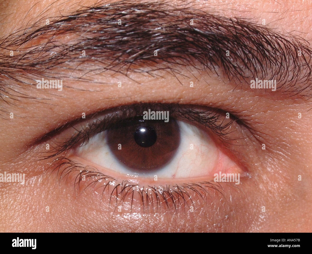 Man s eye close up Model released Stock Photo - Alamy
