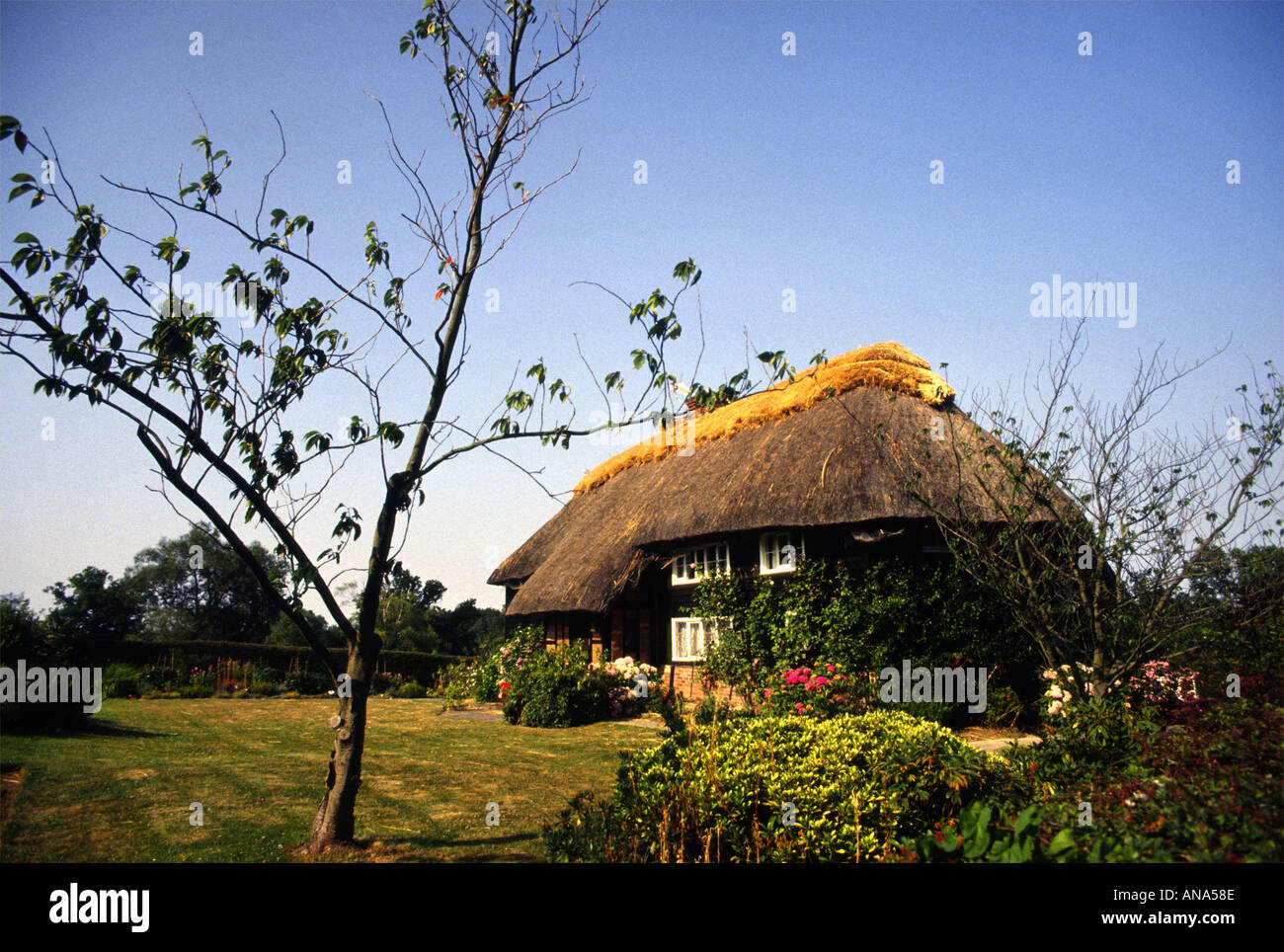 Peasmarsh hi-res stock photography and images - Alamy