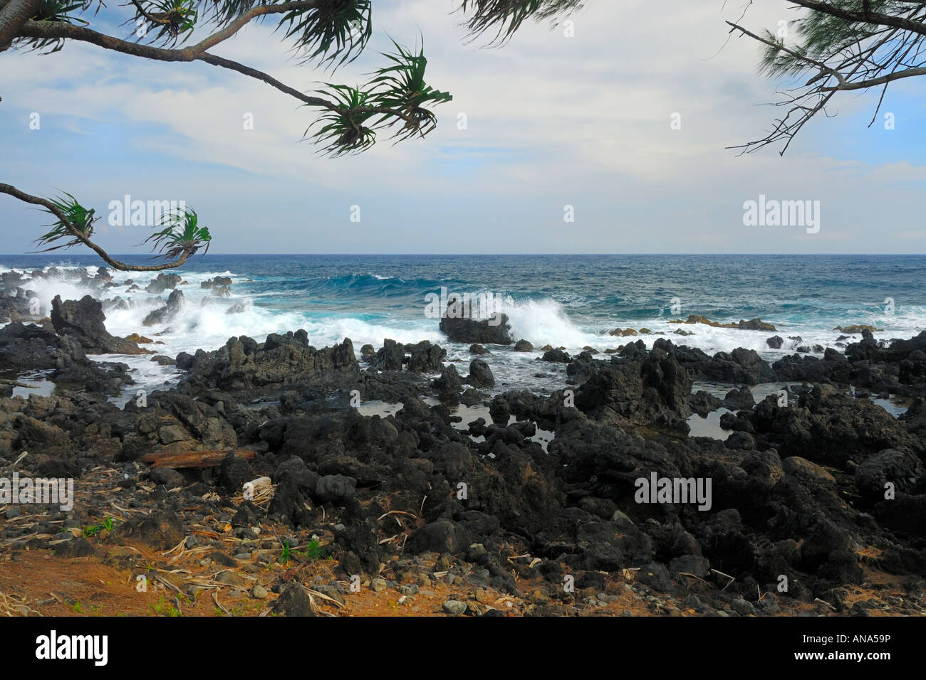 The rough surf at the lava stone beach in Wailua a small town on the ...