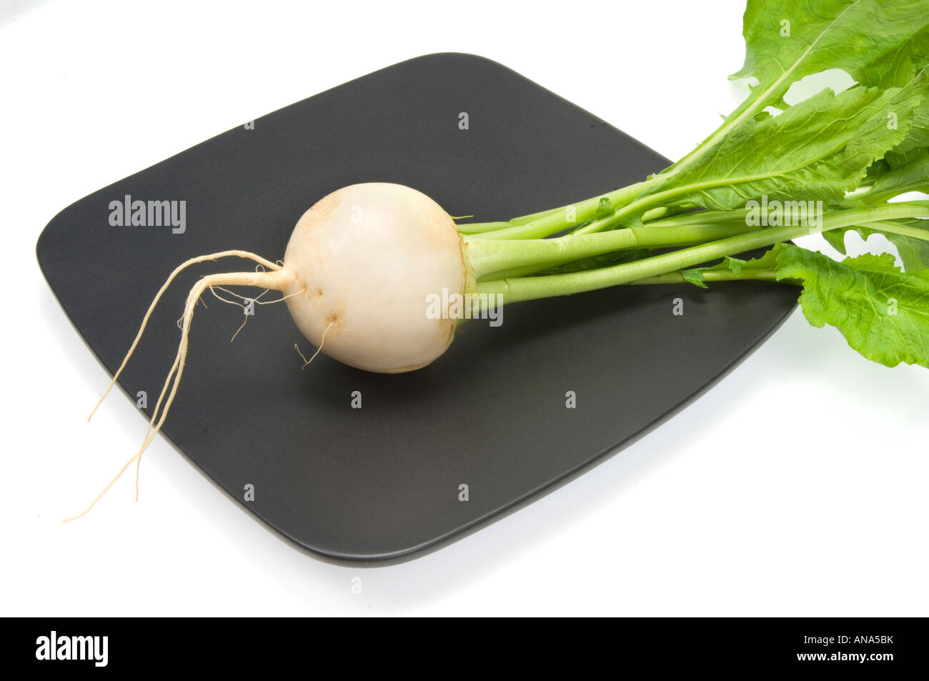fresh white radish Radis radishes daikon Japanese radish with green ...
