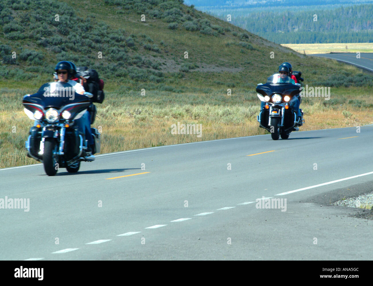 American Motorcyclists on Pavement in Hayden Valley Yellowstone ...