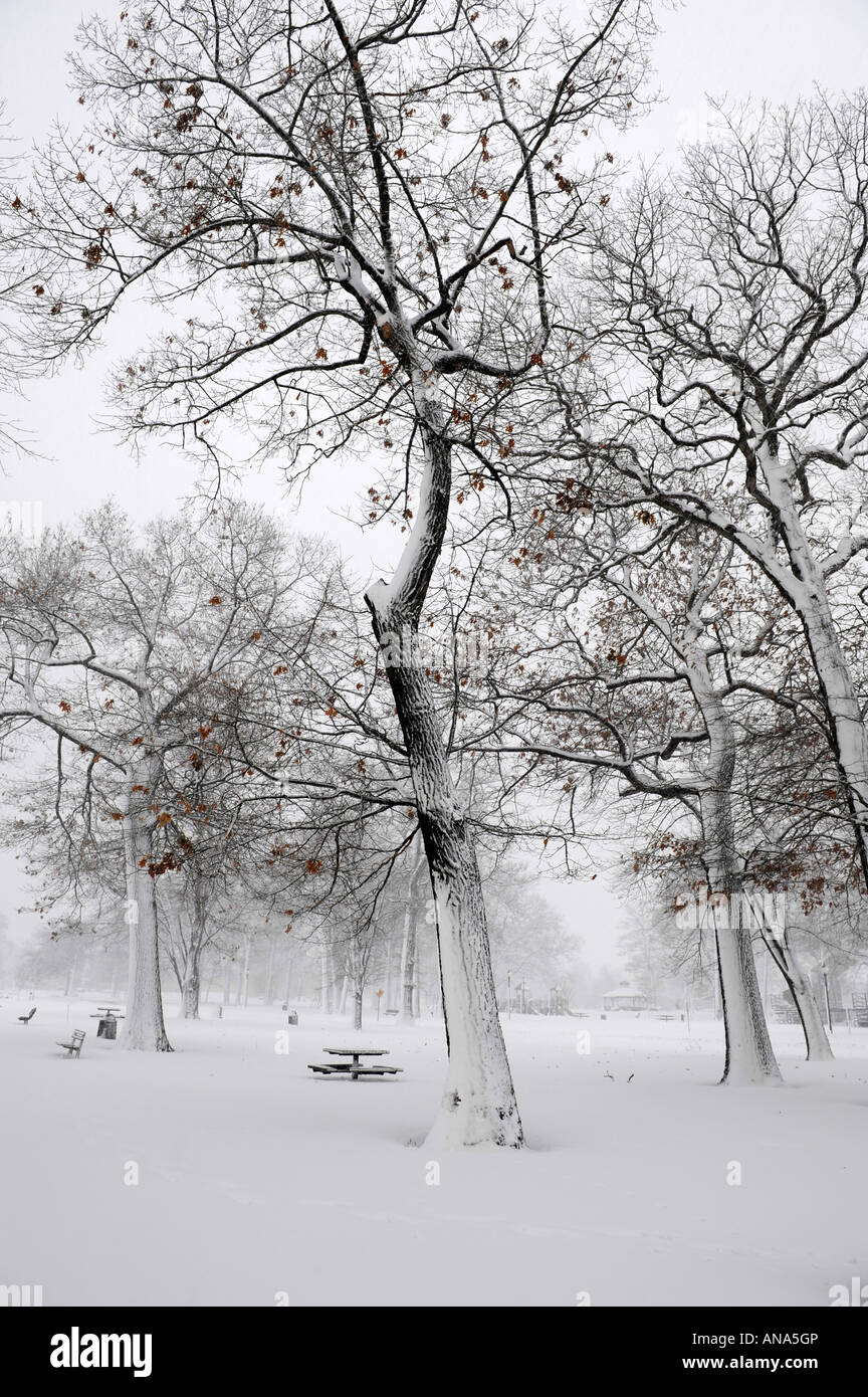 Michigan Winter Scene Stock Photo - Alamy