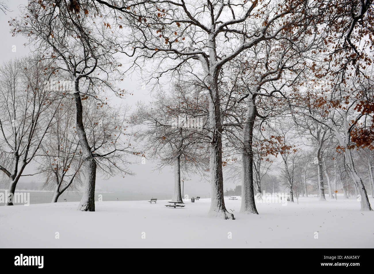 Michigan Winter Scene Stock Photo - Alamy