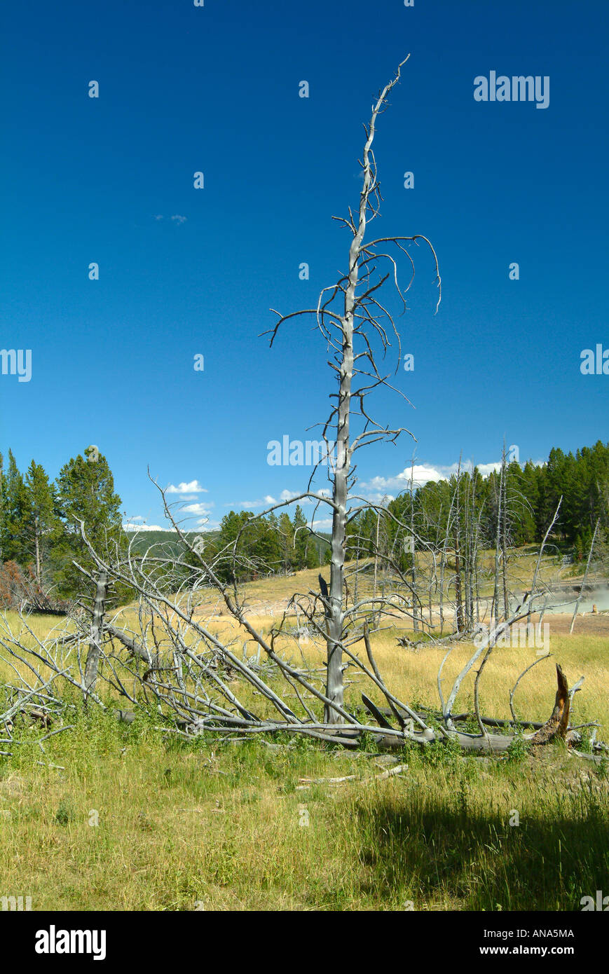 1988 fire damage hi-res stock photography and images - Alamy